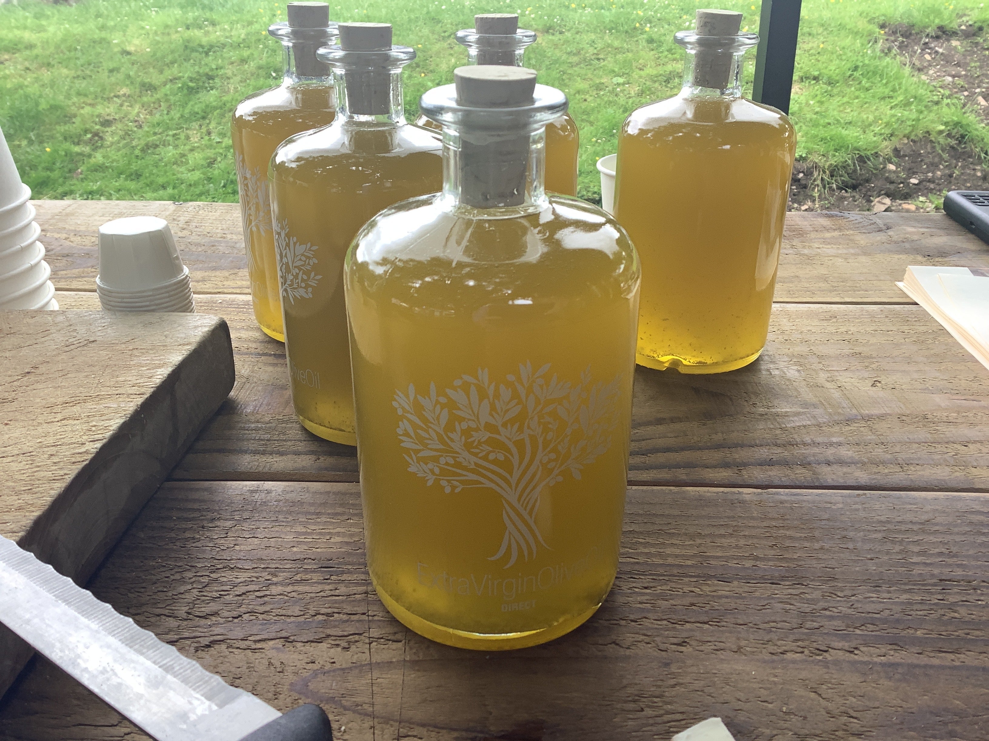 Why Extra Virgin Olive Oil Direct is the Sustainable Choice